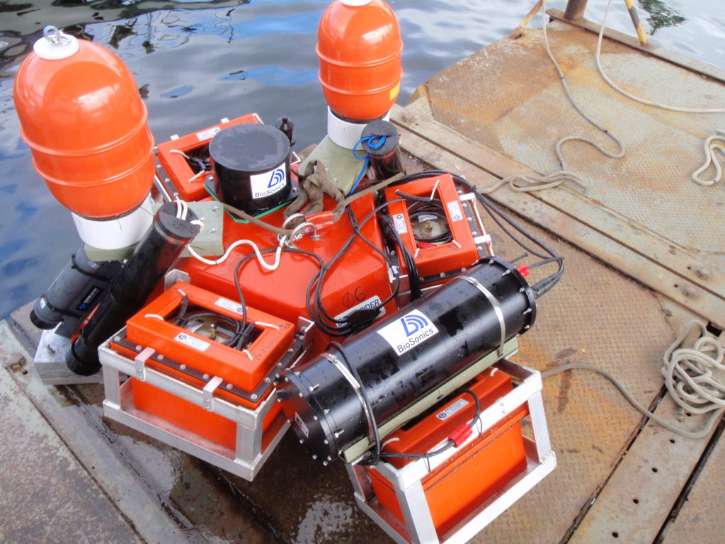 Products | BioSonics