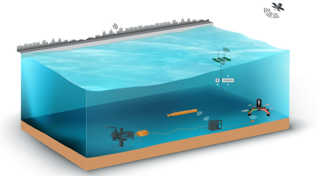 Renewable Energy | BioSonics